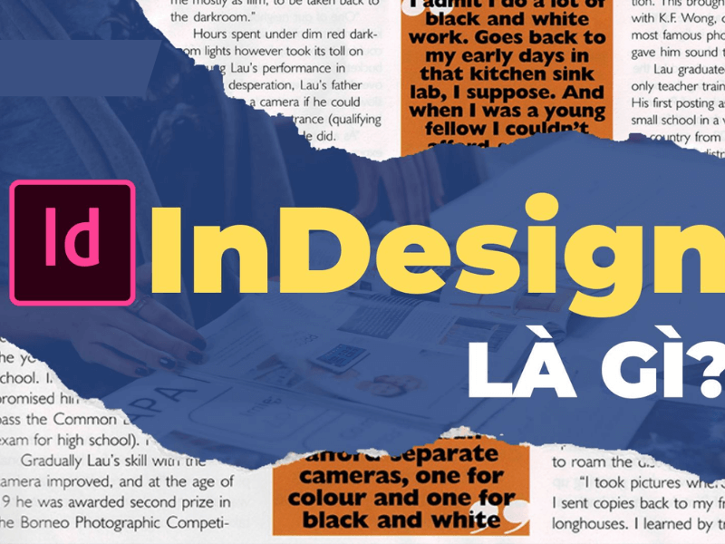 InDesign là gì? Công cụ xuất bản đỉnh cao - Thư Viện Đồ Họa
